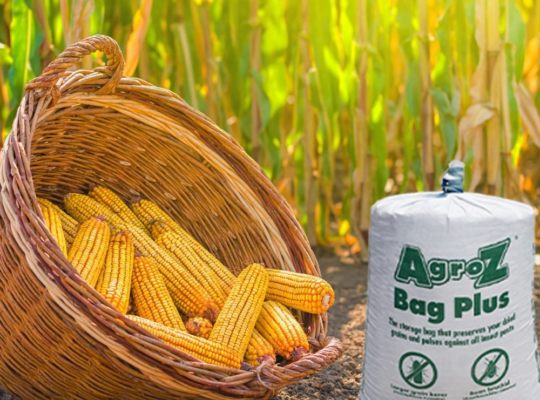 AgroZ® storage Bag - Farmers Market Kenya