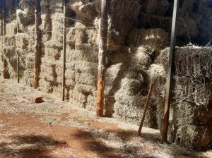 Hay – Farmers Market Kenya
