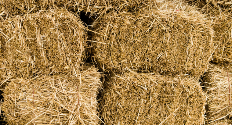 Boma Rhodes Hay For Sale - Farmers Market Kenya